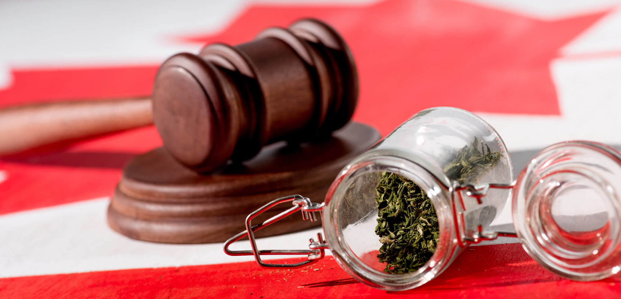 The Ins and Outs of Canada's Cannabis Act | Edelson Foord Law